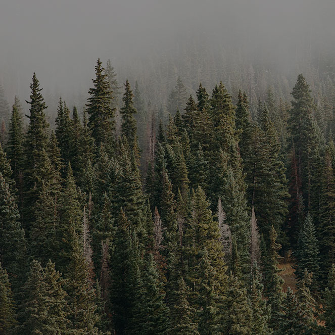 Public Programmes - Our Programmes | Asian Banking School